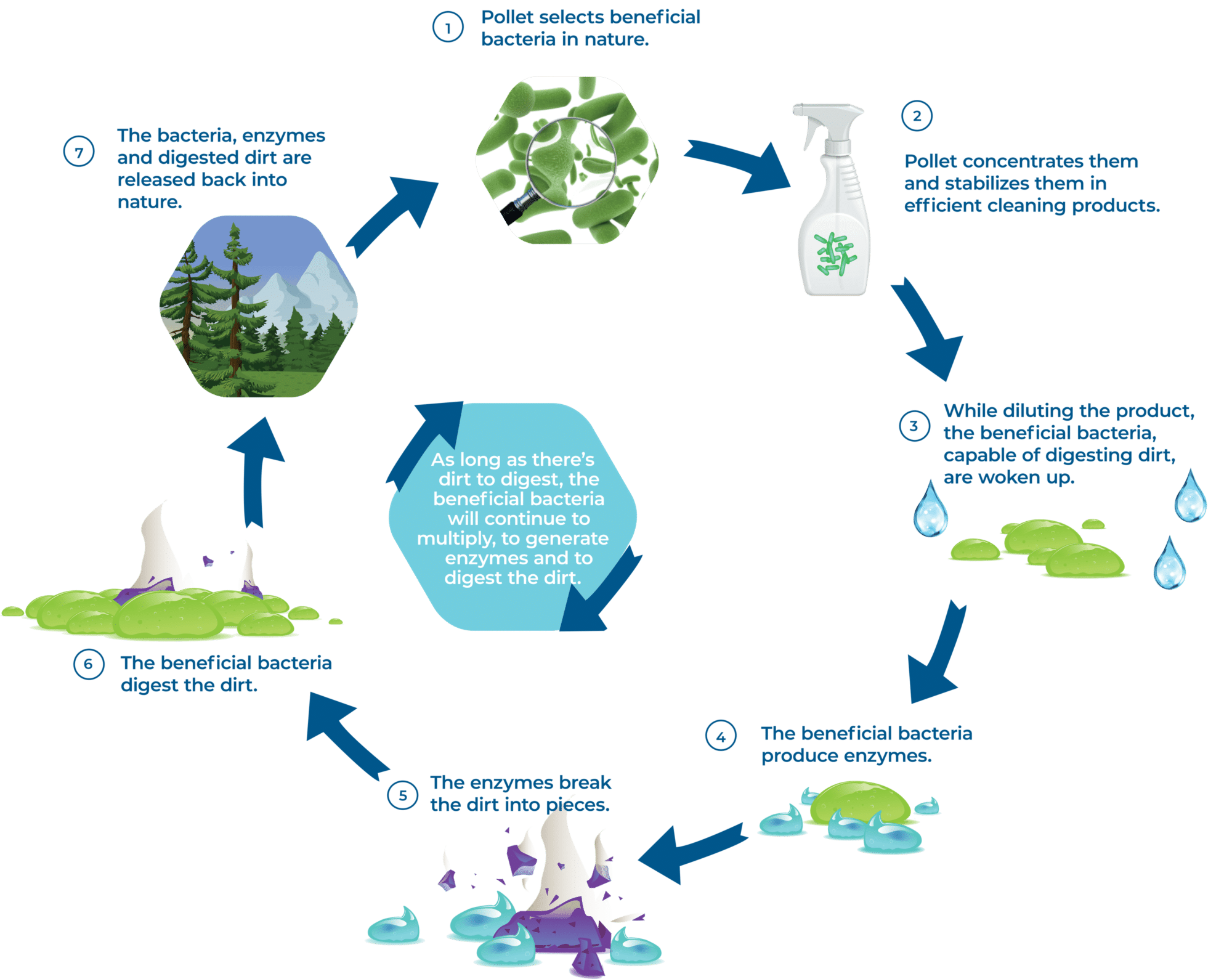 What are Probiotics?